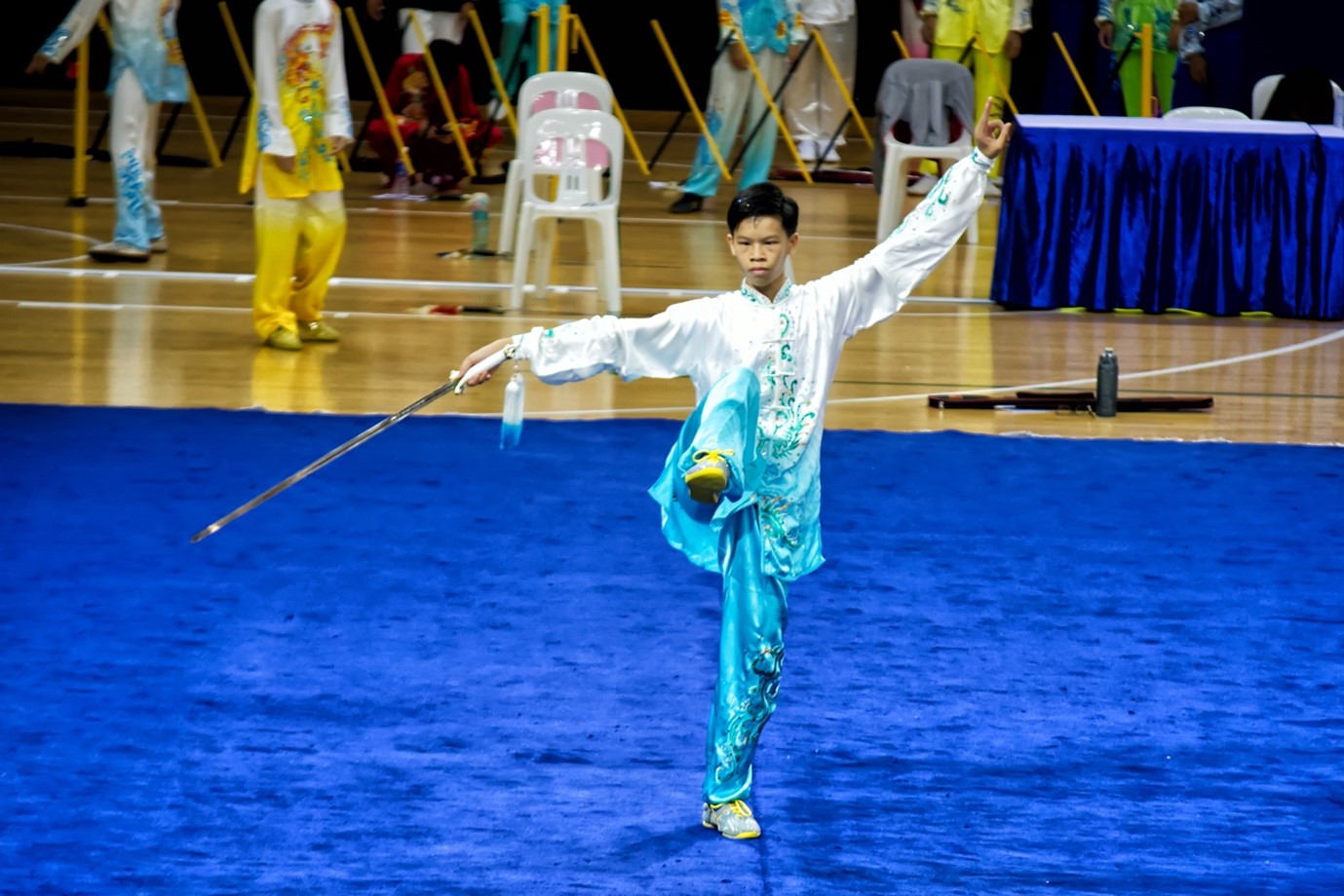 Wushu